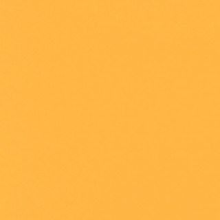 217 SUD Light Orange – Multi-Rich